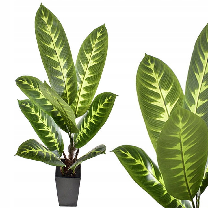 SZTUCZNA ROŚLINA W DONICZCE KOMPOZYCJA DEKORACJA RESTAURACJA OZDOBA LIŚCIE • Cena, Opinie ...