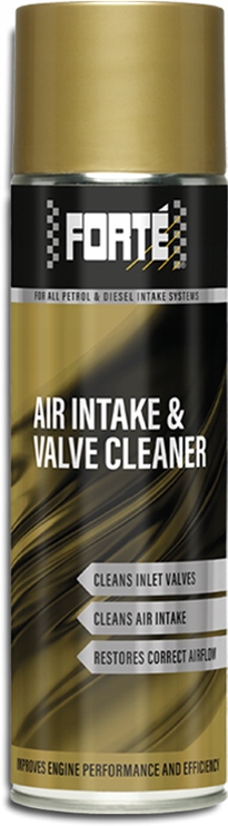 Środek czyszczący Forte do kolektora i zaworów ssących 500 ml ...