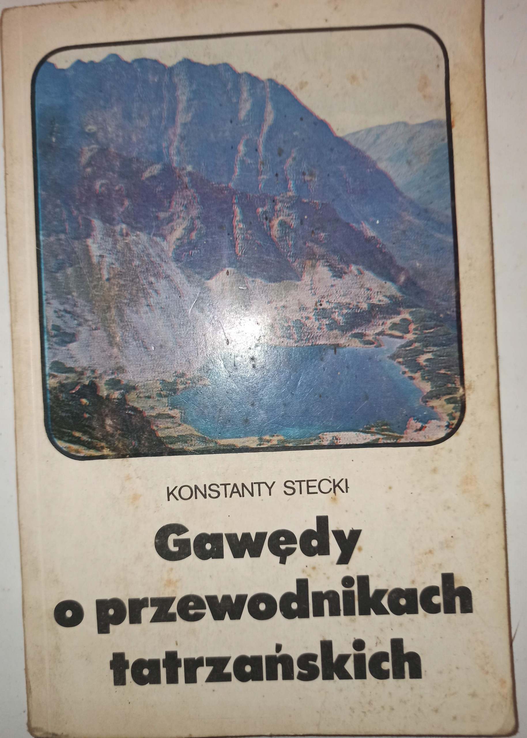 Gawędy o przewodnikach tatrzańskich Konstanty Stecki Literatura piękna(13335399721) | Książka ...