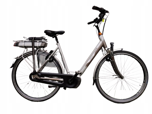 Batavus Ion Wayz 21'' 54Cm 28'' Alu 2xAmor Axa Nexus 8 Maura HS11 300 ...