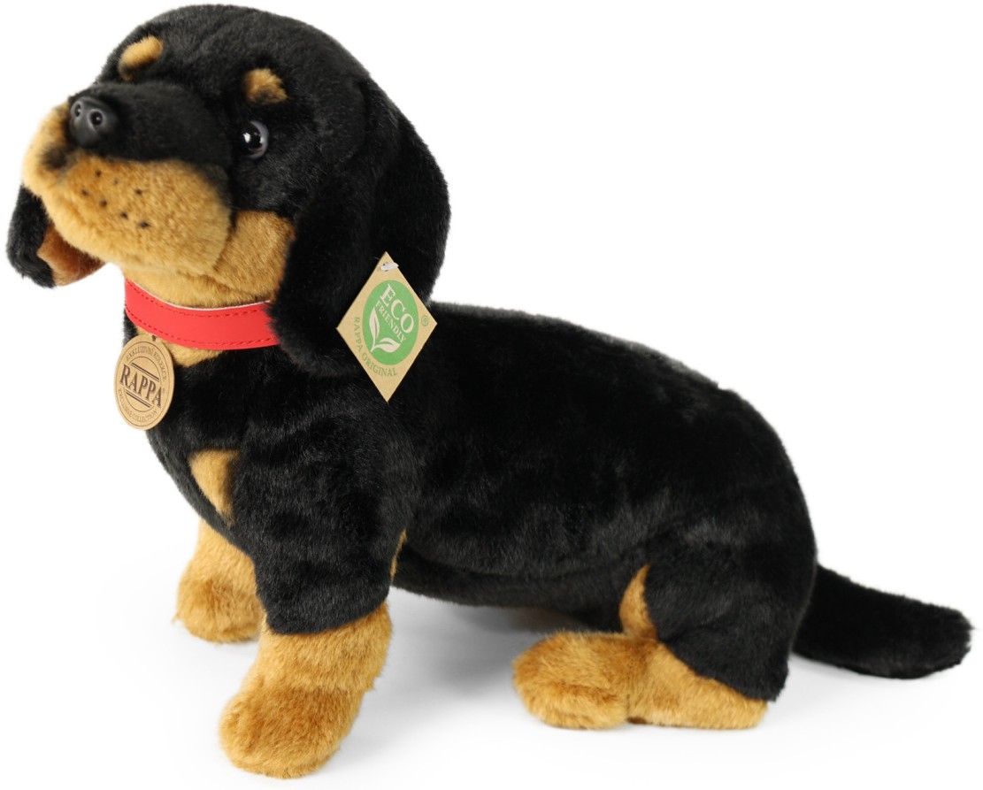 Maskotka Piesek Jamnik Czarny ze smyczą - 30cm 14092884237 - Allegro.pl