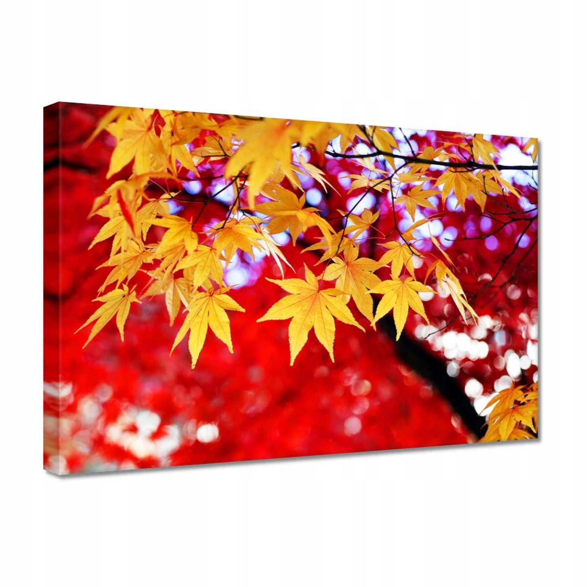 Obrazy 30x20 Žltý jesenný list, • Ceny, Recenzie - Allegro