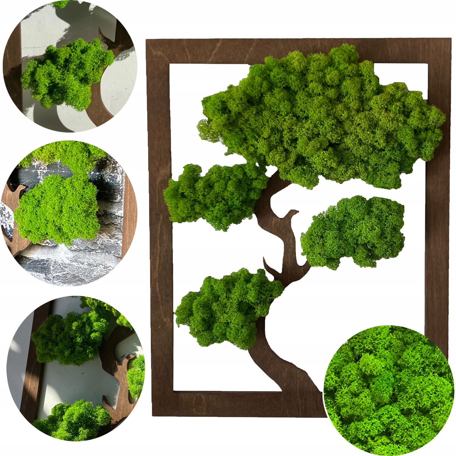 PREZENT drzewo ŻYCIA DRZEWKO SZCZĘŚCIA ŻYWY OBRAZ mech chrobotek BONSAI ... PREZENT drzewo ŻYCIA DRZEWKO SZCZĘŚCIA ŻYWY OBRAZ mech chrobotek BONSAI ...