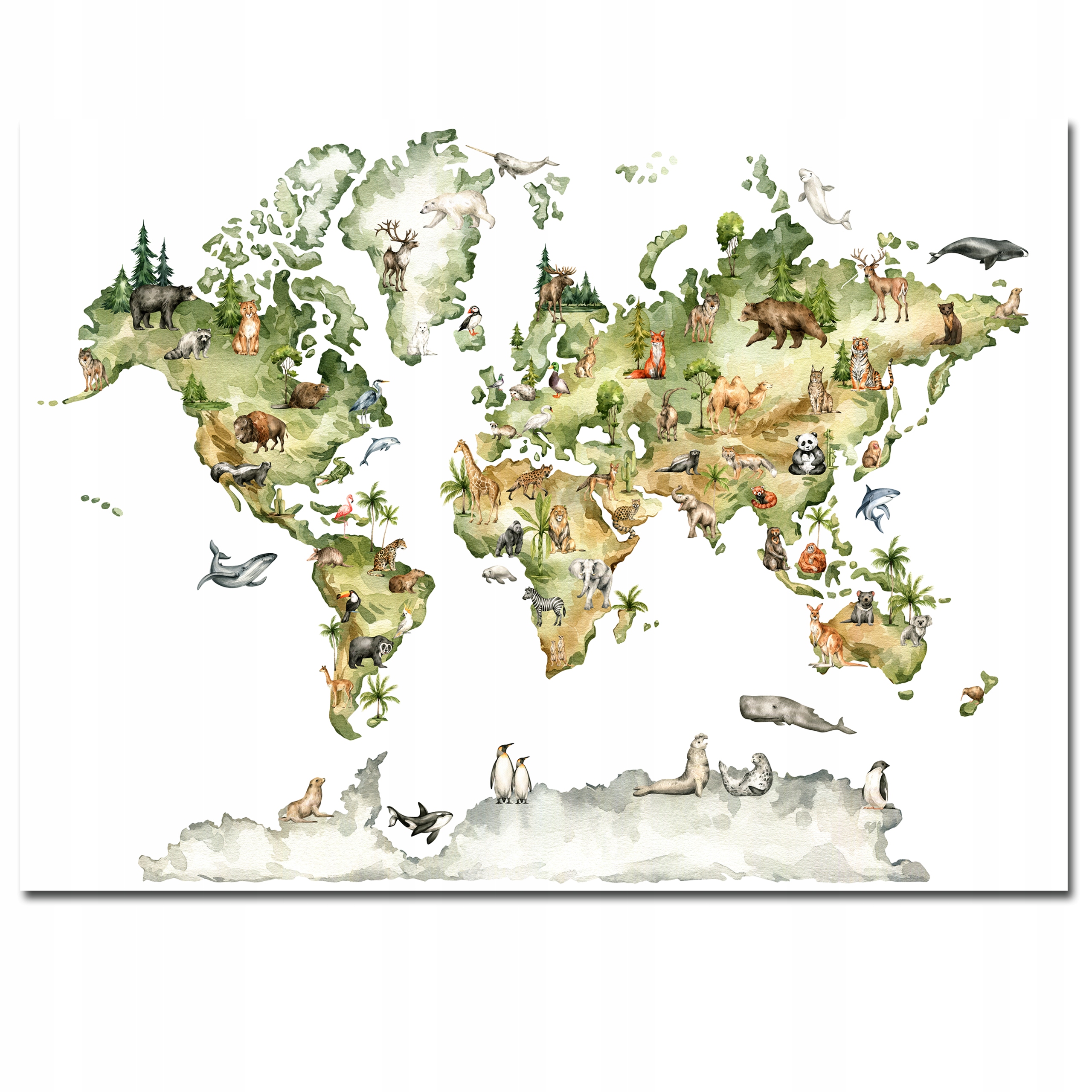 MAPA ŚWIATA, plakat edukacyjny dla dzieci ze zwierzętami • Cena, Opinie ...