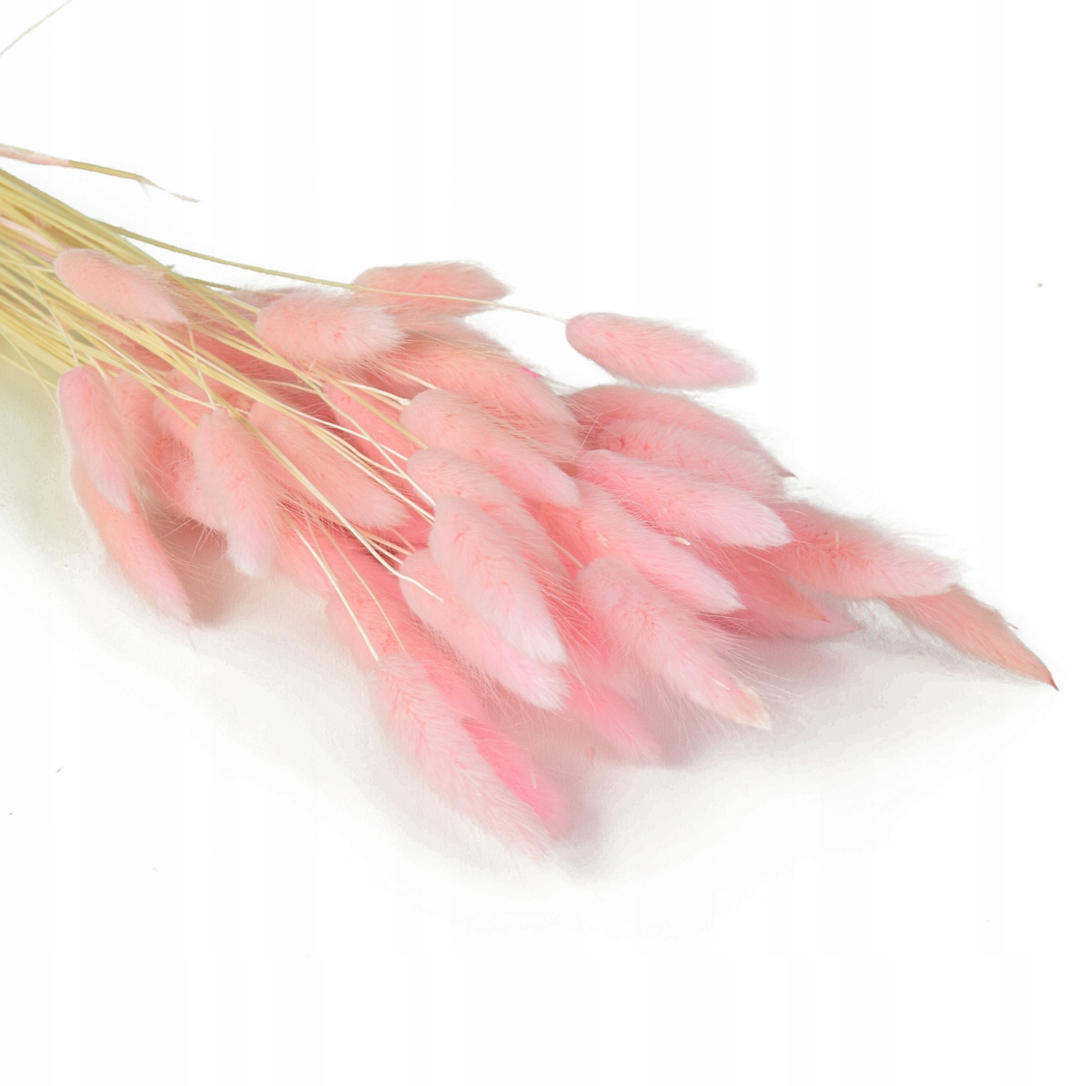 Lagurus Dmuszek Jajowaty Duży Bukiet Jasny Róż Beż • Cena, Opinie ...