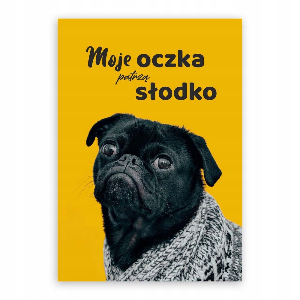 Plakat bez ramy 50 x 70 cm • Cena, Opinie • Plakaty 12488712367 • Allegro