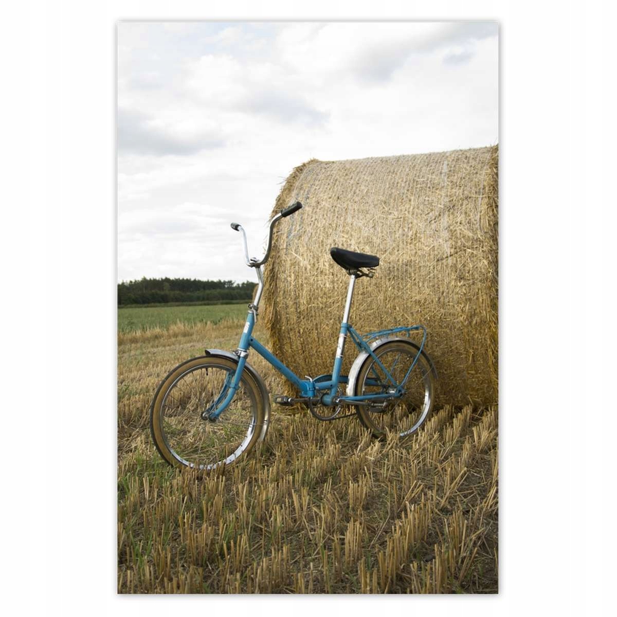 Naklejki 40x60 Wigry 3 PRL Rower Romet • Cena, Opinie • Naklejki ...