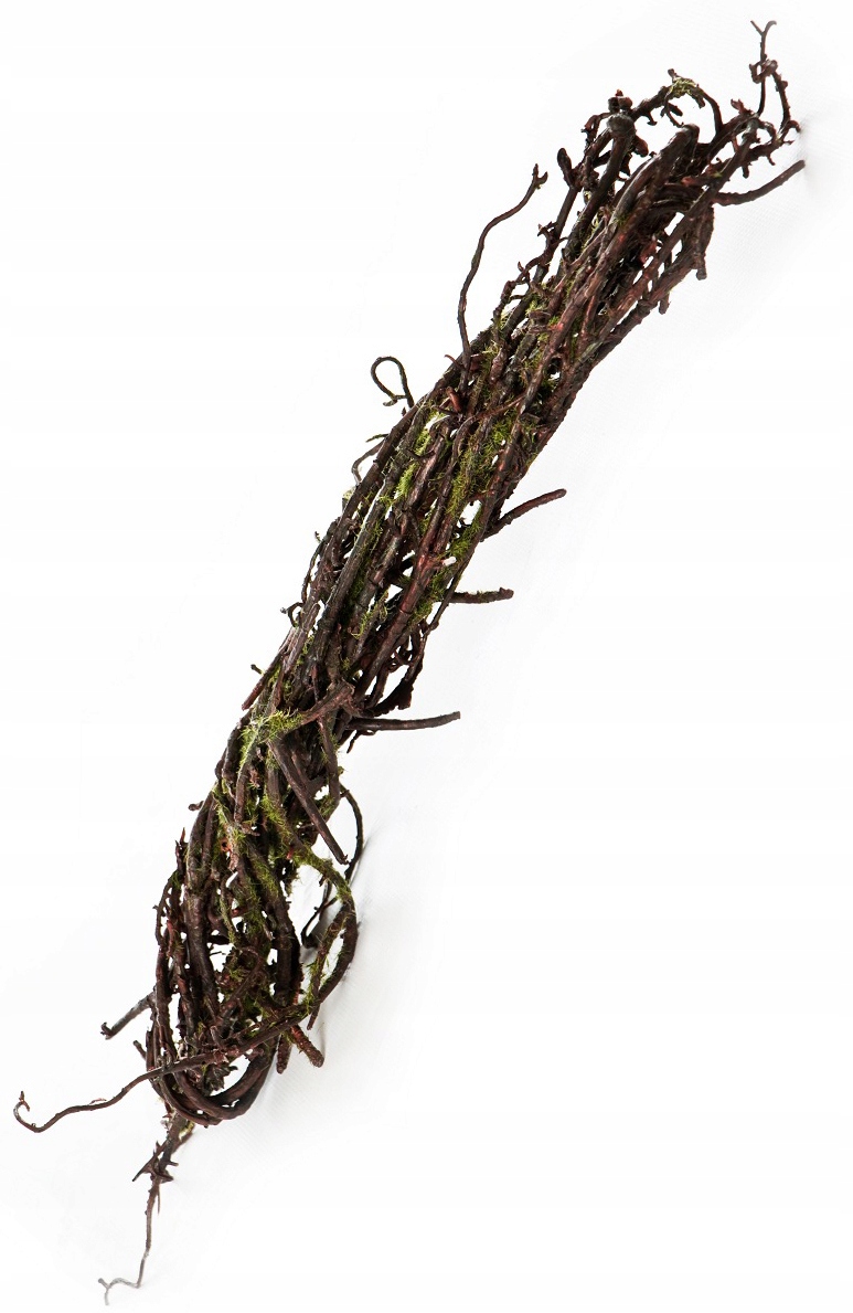 SZTUCZNE PATYKI Z MCHEM WITKA BRZOZOWA GAŁĄZKI DODATEK STROIKÓW KOMPOZYCJI (SZTUCZNE PATYKI ...