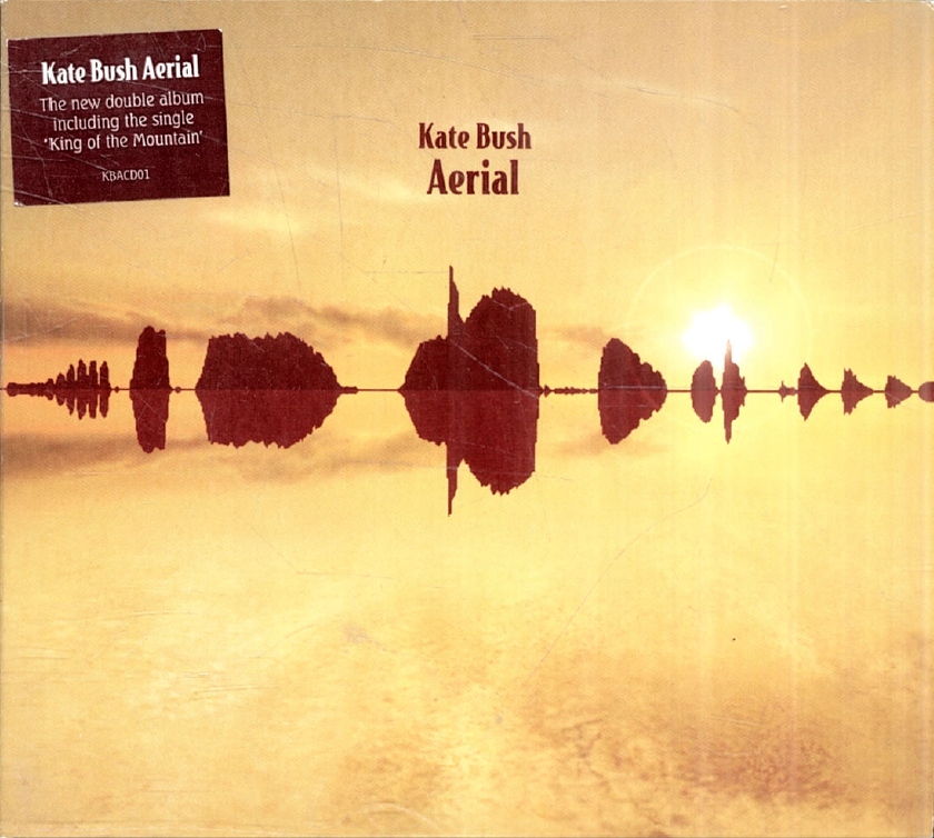Aerial Kate Bush CD 17095976119 - Sklepy, Opinie, Ceny w Allegro