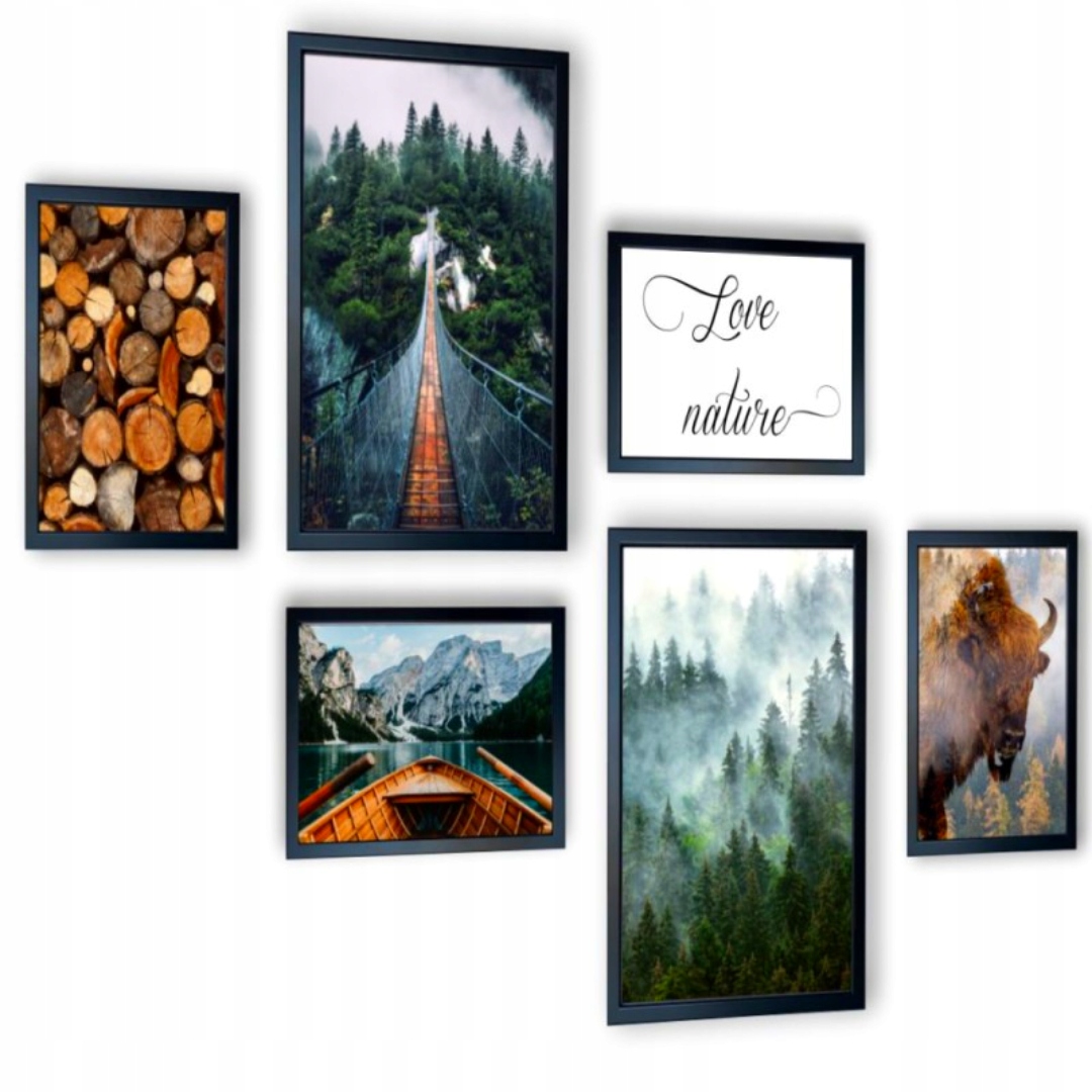 GALERIA OBRAZY NA ŚCIANĘ LAS, NATURA - 6 OBRAZÓW 13862993554 - Allegro.pl