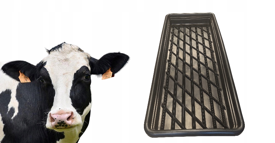 Wanna do mycia i dezynfekcji racic • Cena, Opinie - Allegro