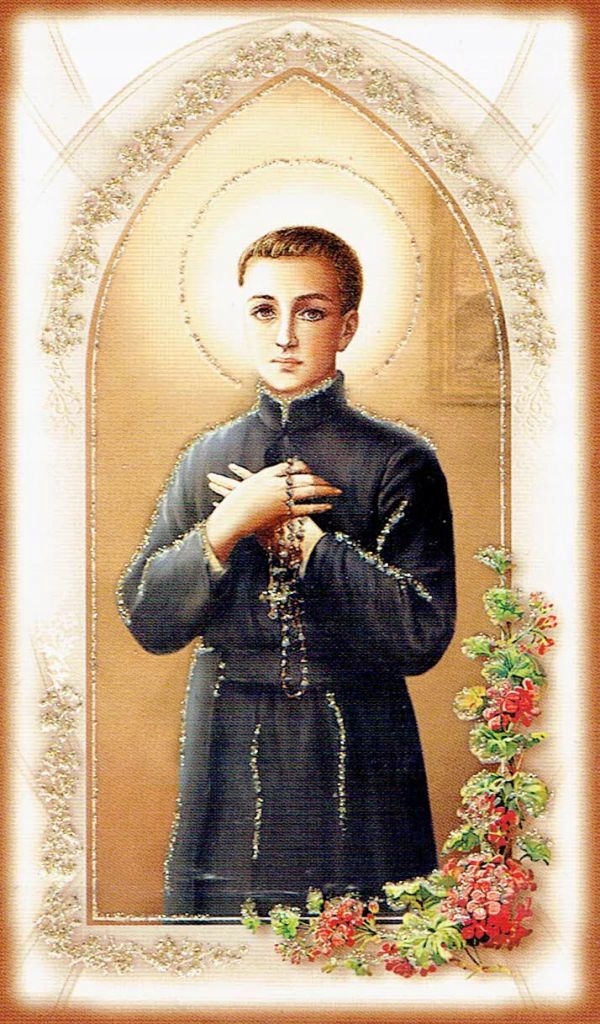 Obrazek z brokatem Anko Św. Stanisław Kostka 6,5x10,5 cm • Cena, Opinie ...