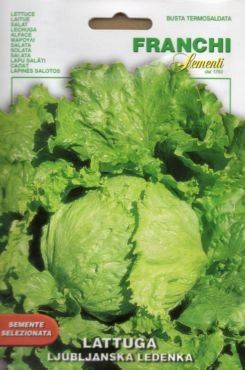 Sałata LJUBLJANSKA LEDENKA nasiona 4g (8012450437314) • Cena, Opinie ...