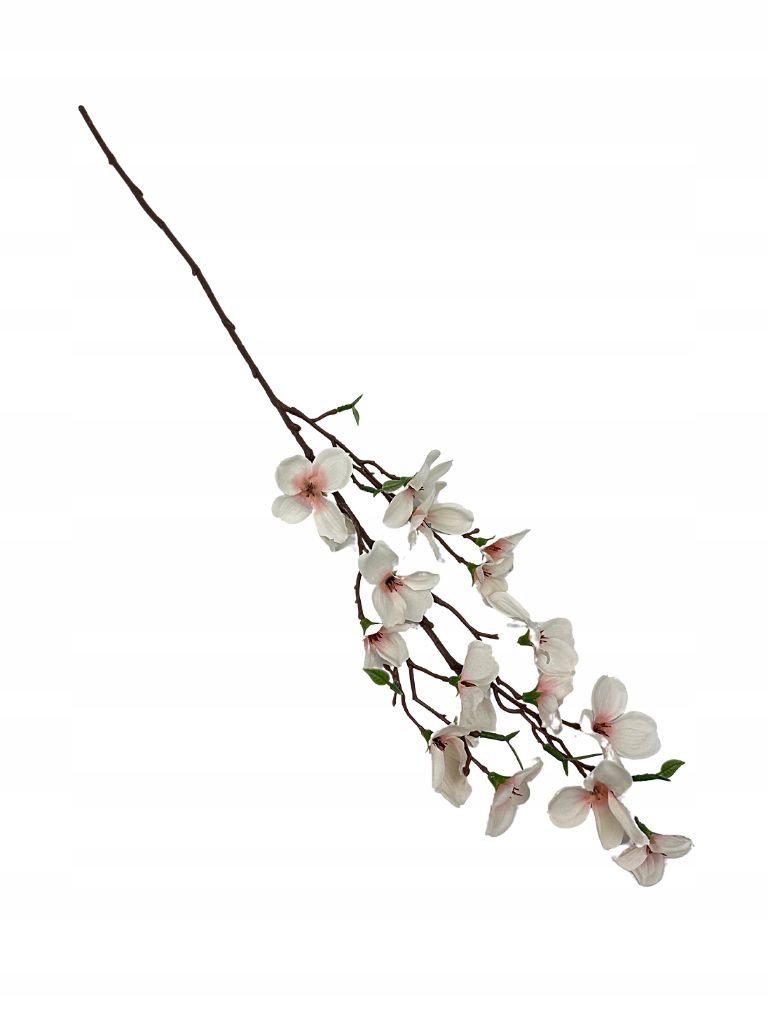 Alma ág 58 cm finom őszibarack - Allegro