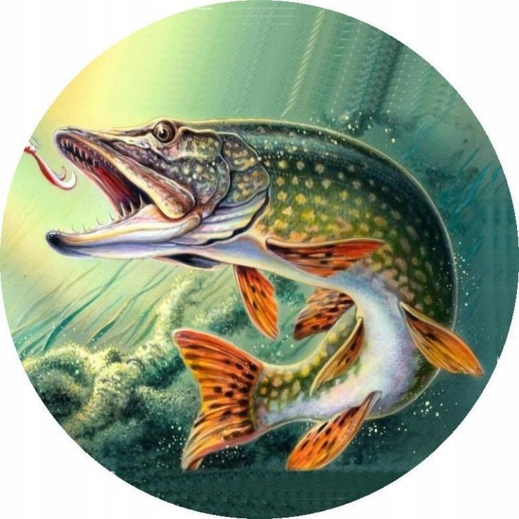 id_7704 OPŁATEK WAFLOWY NA TORT WAFEL RYBA RYBY SZCZUPAK WĘDKARZ WĘDKA ...