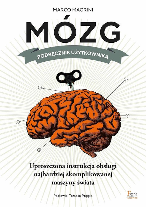 Jak pracuje mózg? 9 książek, które wyjaśniają tajemnice - Allegro.pl