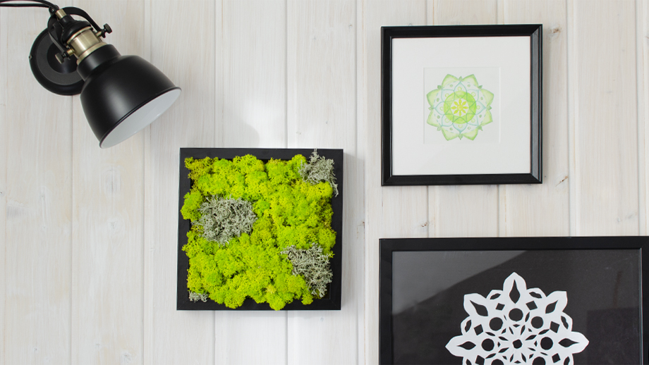 DIY – jak zrobić dekoracyjny obraz z mchu? - Allegro.pl