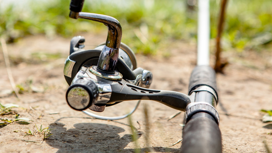 Przynęty na lina: jakie są najlepsze ? Wędkarze radzą: Jakie zapachy lubi i gdzie występuje ...