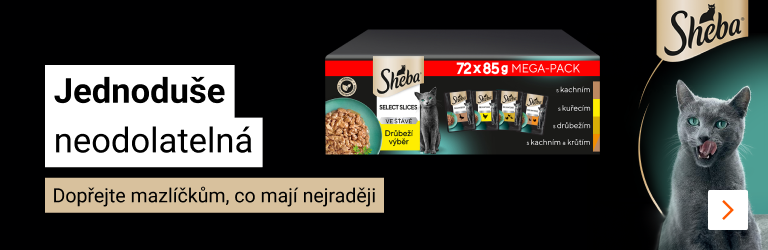 Allegro.cz - Akce dne