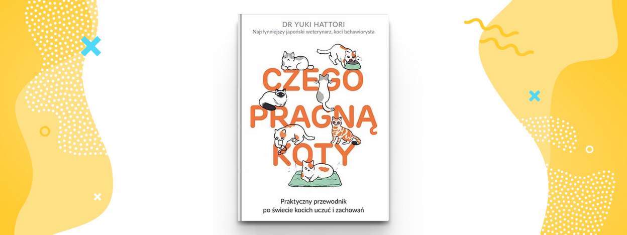 Czego pragną koty – Yuki Hattori - Premiera na Allegro.pl