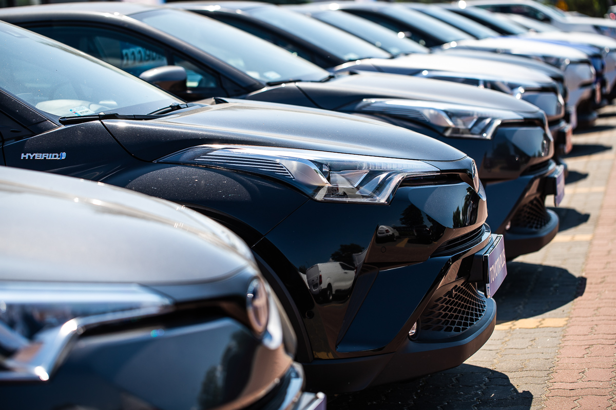 Toyota Plus - Allegro.pl