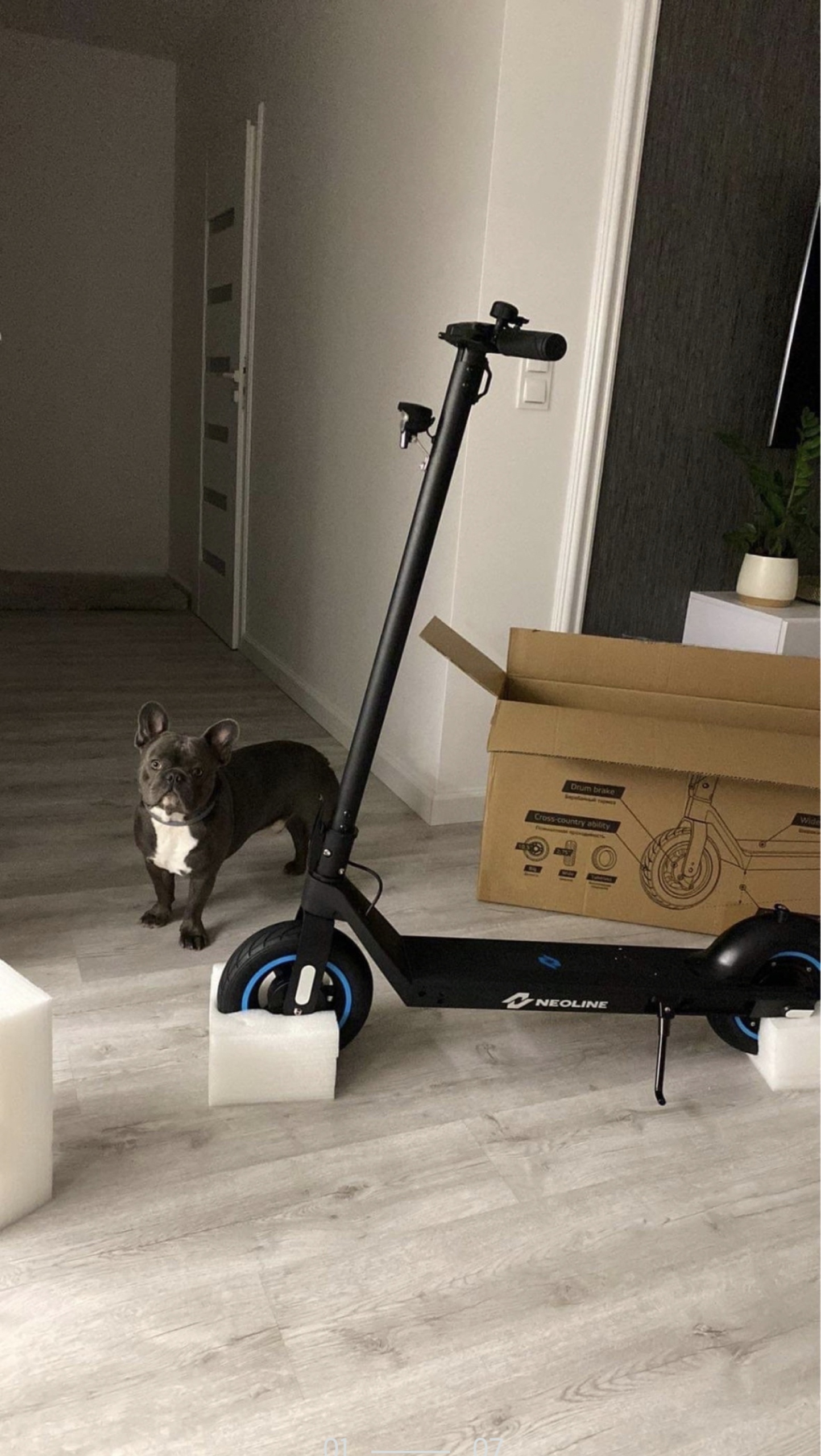 Hulajnoga Neoline T28 30 km/h + zapiecie gratis | Gdańsk | Ogłoszenie ...