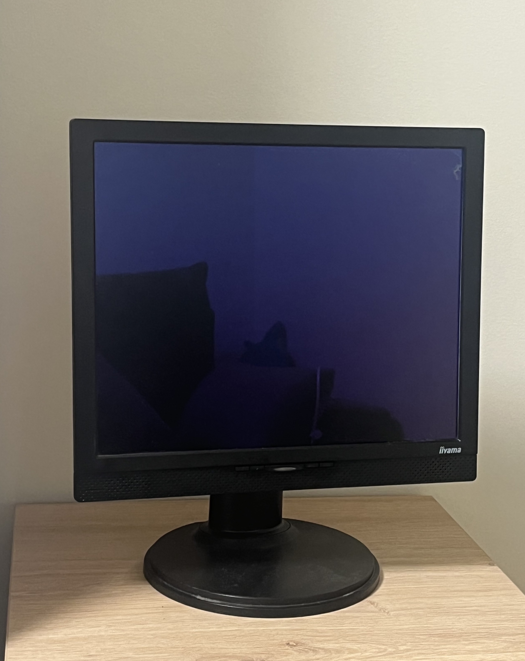 Monitor Iiyama pro lite P1704s PL1700 | Warszawa | Kup teraz na Allegro ...