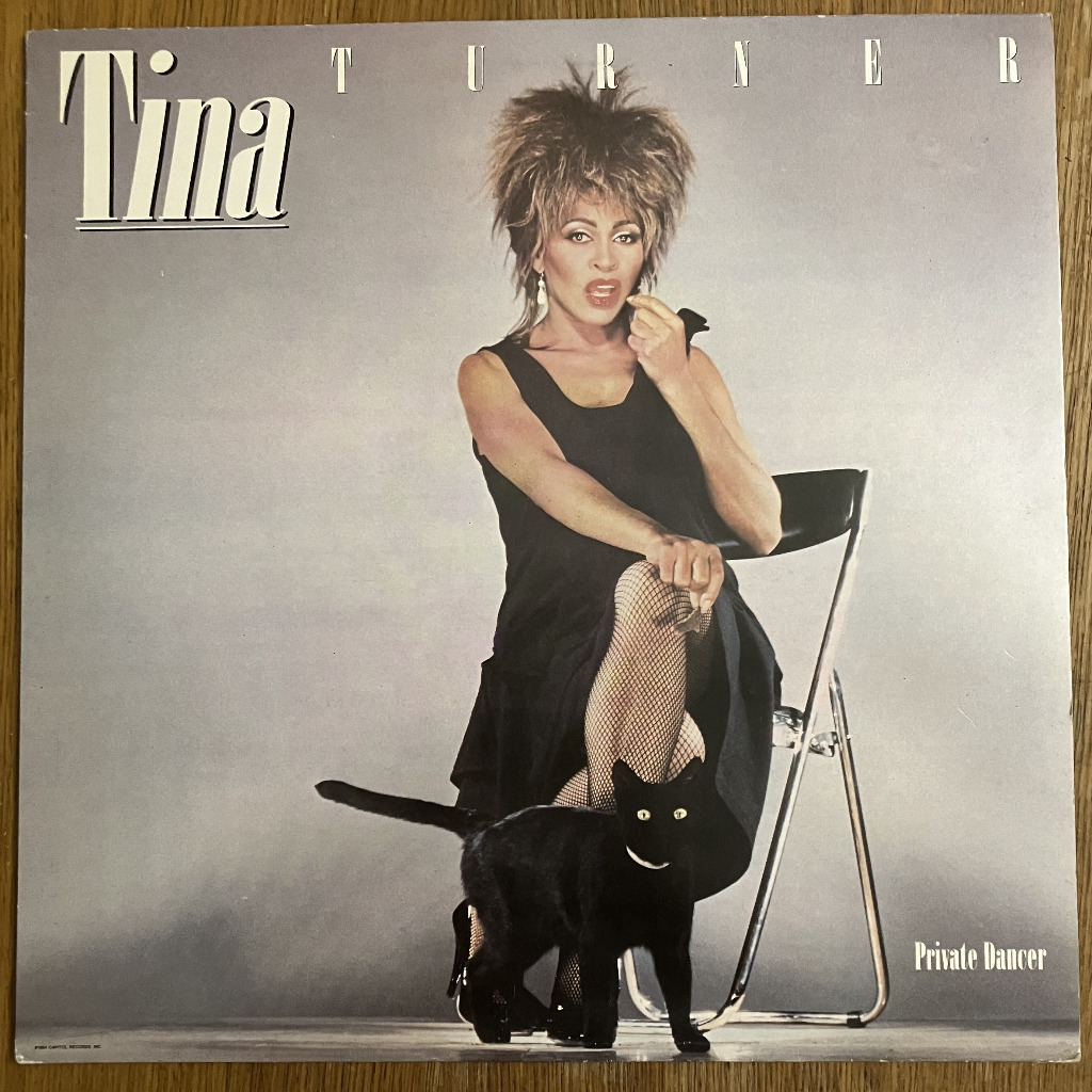 Płyta Tina Turner - Niska cena na Allegro.pl