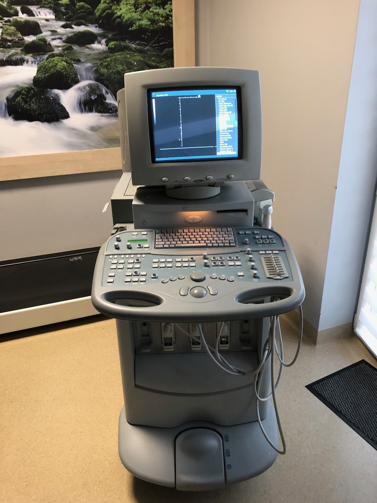 Ultrasonograf Siemens Acuson Sequoia 512 echo serc | Brzesko ...