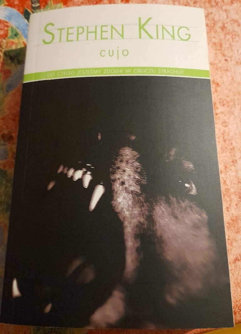 Stephen King Cujo | Katowice | Kup teraz na Allegro Lokalnie