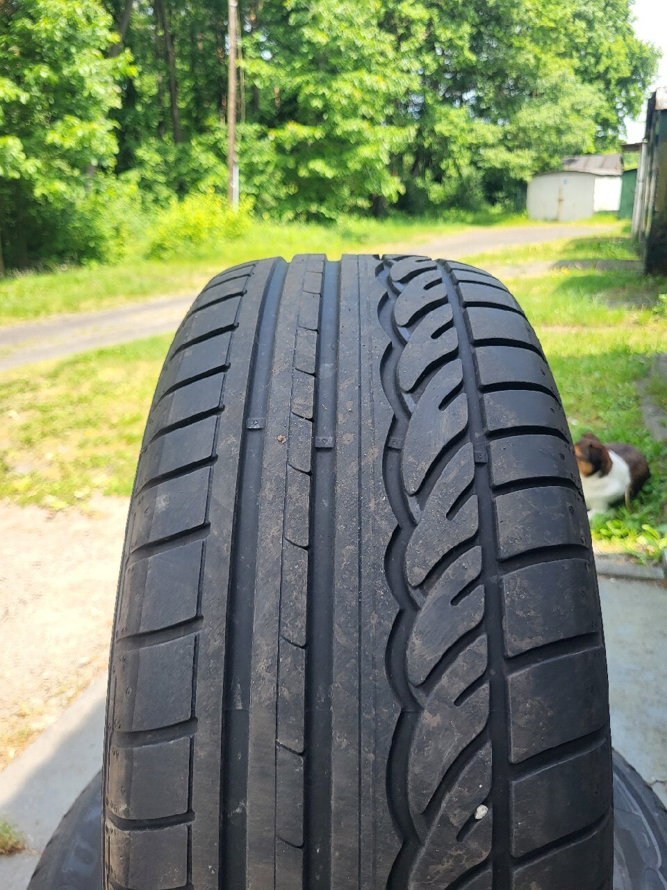 Opony Letnie 235 55 17 Dunlop - Niska cena na Allegro.pl