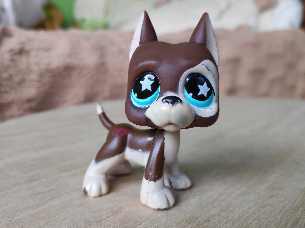 LPS Littlest Pet Shop pies piesek Dog pop #817 | Środa Wielkopolska ...