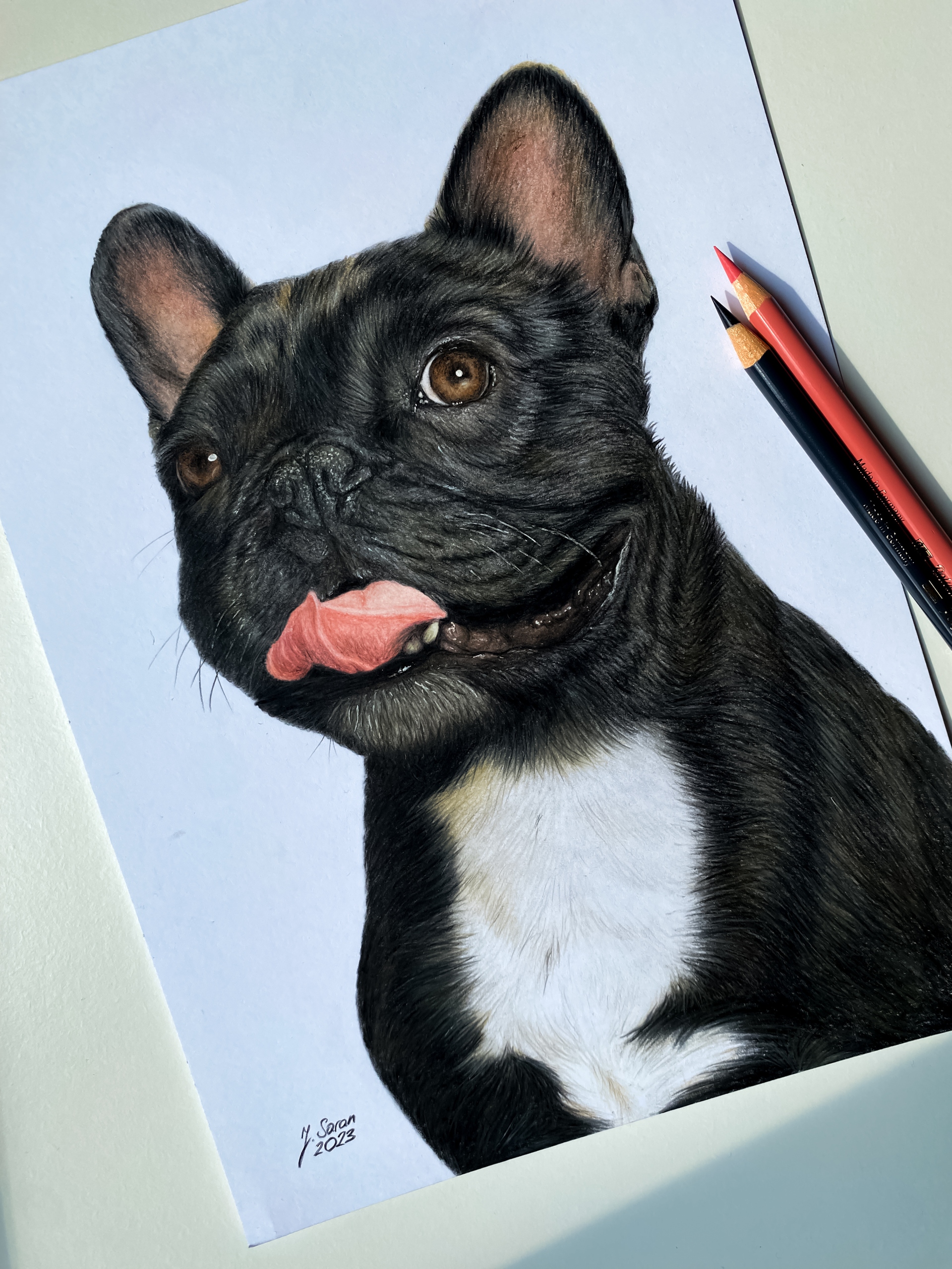 Rysunek pies A4 | Gdynia | Kup teraz na Allegro Lokalnie