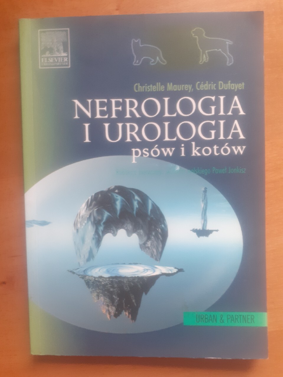 Nefrologia i urologia psów i kotow | Rzeszów | Kup teraz na Allegro Lokalnie