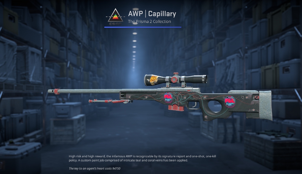 SKIN CS2 AWP Kapilara/Capillary 3x NAKLEJKA | Międzyrzec Podlaski | Kup ...