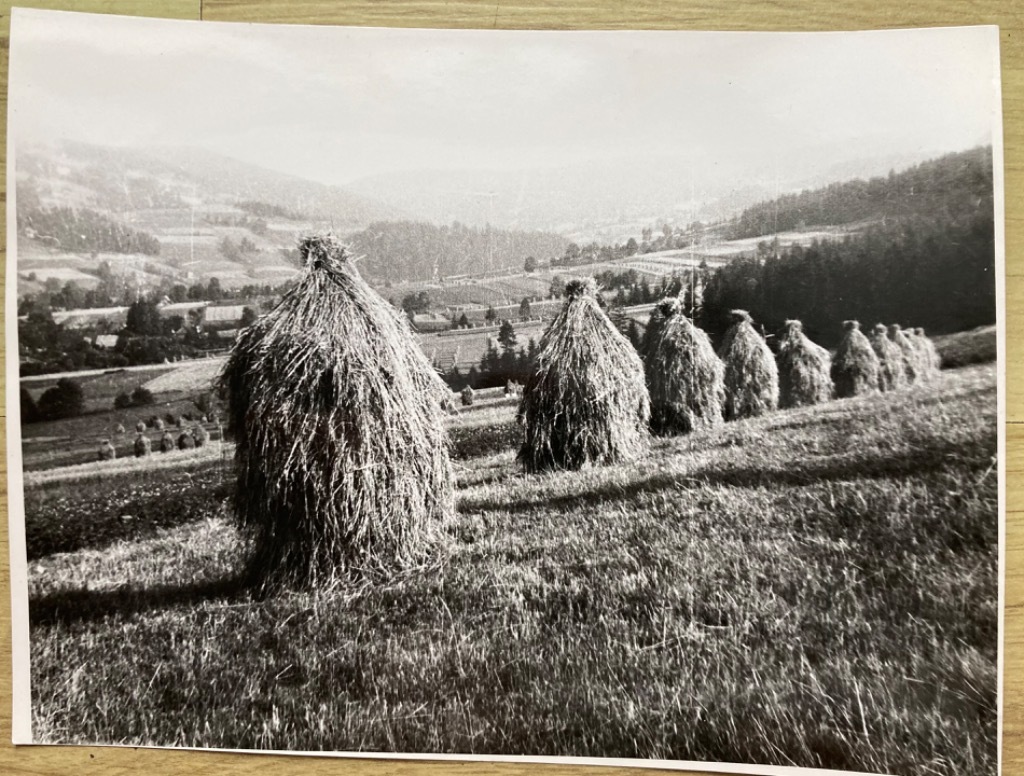 Wisła góry stogi duże zdjęcie | Tychy | Kup teraz na Allegro Lokalnie