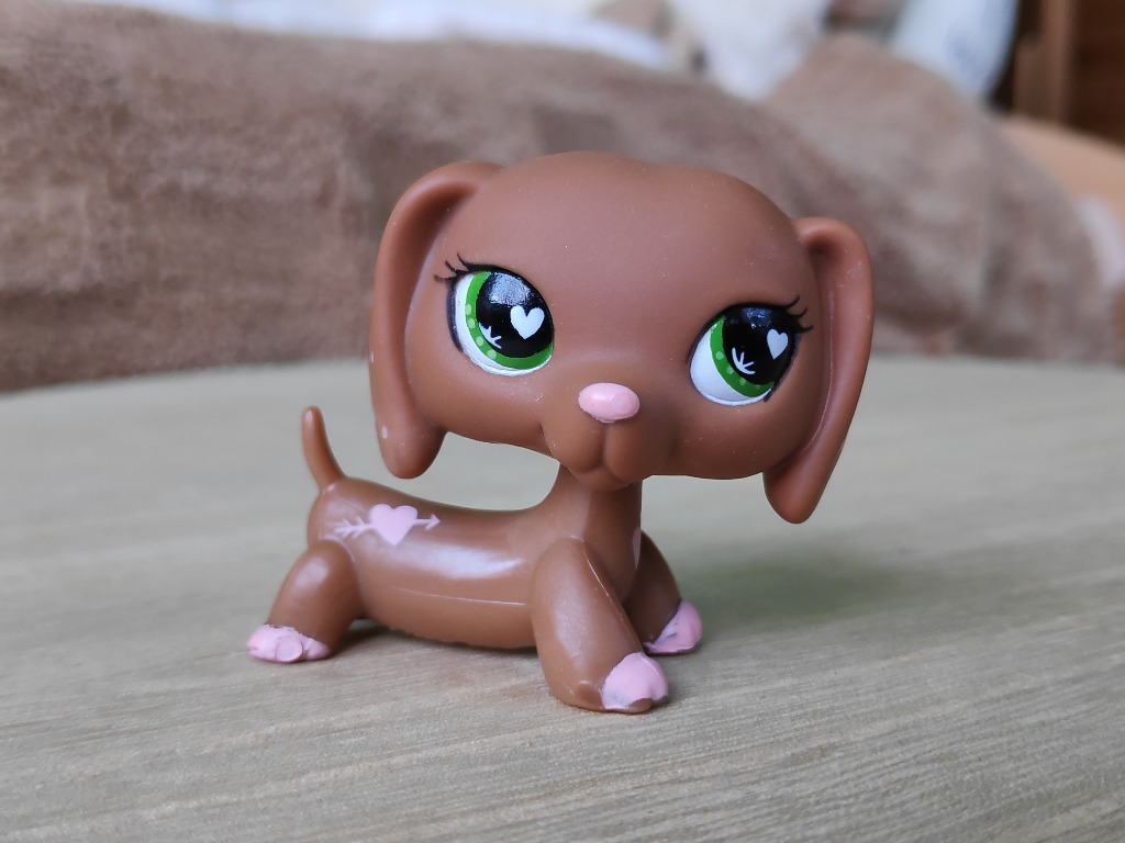 LPS Littlest Pet Shop pies piesek jamnik pop #556 | Środa Wielkopolska ...