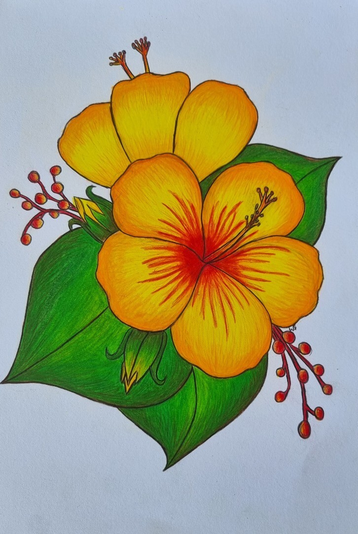 Rysunki roślin | Gdańsk | Kup teraz na Allegro Lokalnie