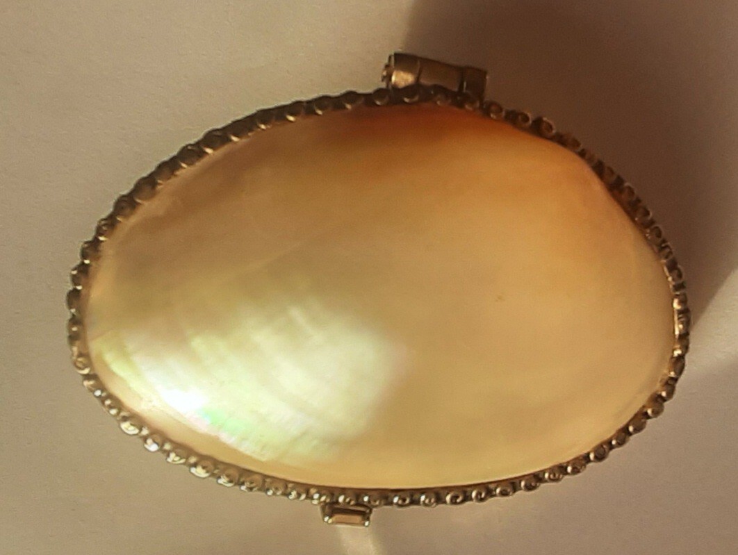 Muszla szkatulka masa perlowa | Łomianki | Licytacja na Allegro Lokalnie