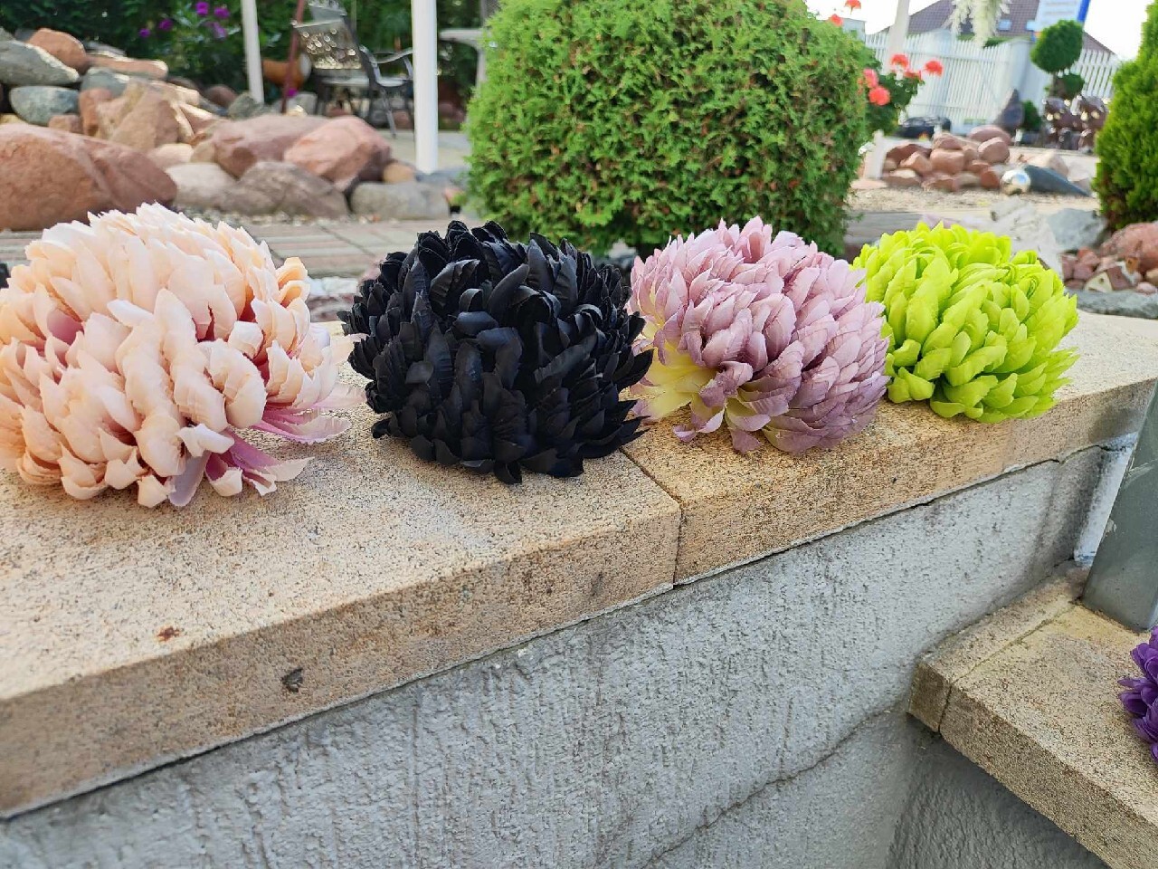 Chryzantemy "ananas" premium | Inowrocław | Kup teraz na Allegro Lokalnie