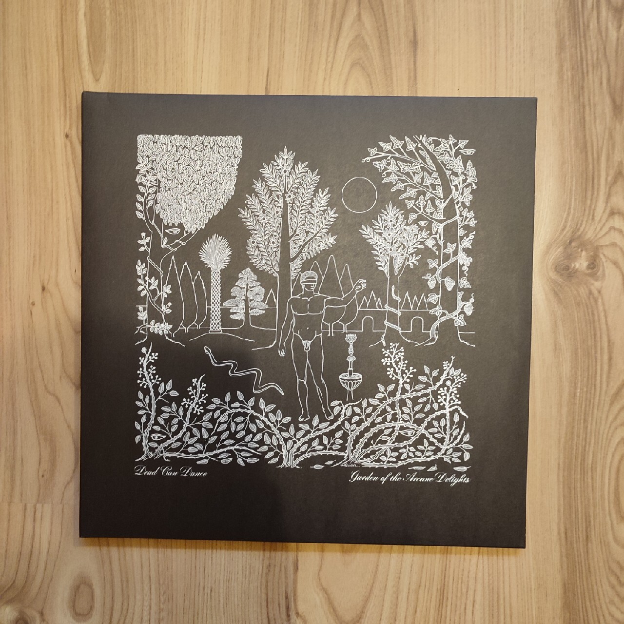 LP Dead Can Dance Garden Of The Arcane Delights | Gdańsk | Kup teraz na ... LP Dead Can Dance Garden Of The Arcane Delights | Gdańsk | Kup teraz na ...
