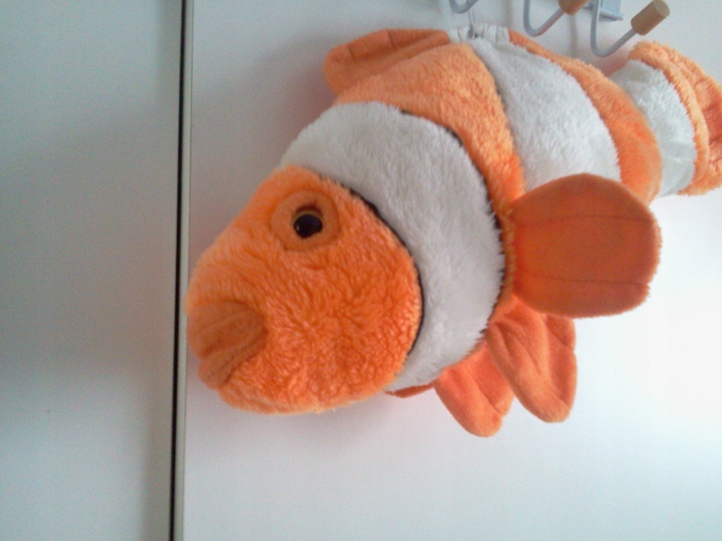 Rybki Nemo - Niska cena na Allegro.pl