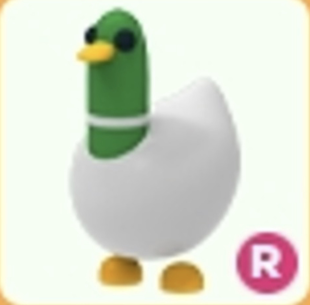 Silly Duck Adopt Me - Niska cena na Allegro.pl