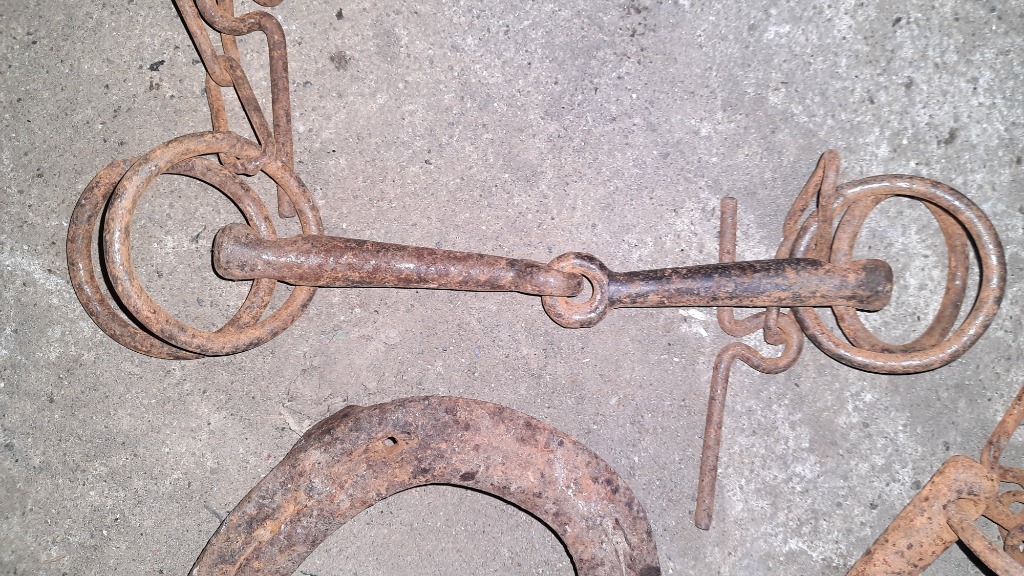 Podkowa końska plus dwie szt wędzidło-munsztuk | Brzozów | Kup teraz na ...