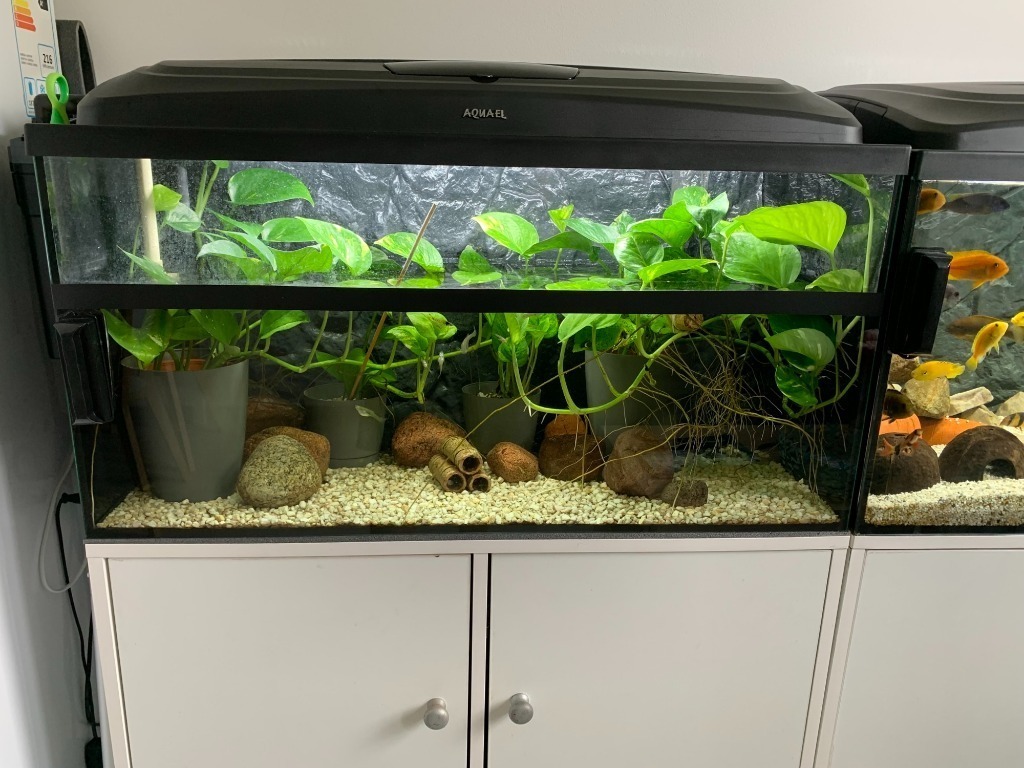 AKWARIUM ZESTAW 112L PROSTY 80x35x40 | Warszawa | Kup teraz na Allegro ...