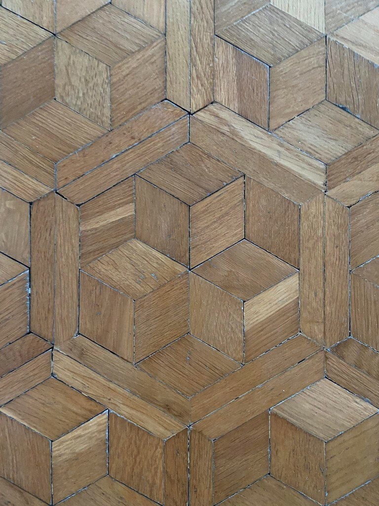 Parkiet Pałacowy - Mozaika z drzew Liściastych | Moczkowo | Kup teraz ...