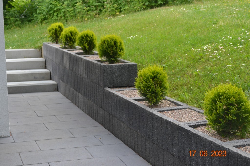 Gazon gazony beto 60 40 | Kościerzyna | Kup teraz na Allegro Lokalnie