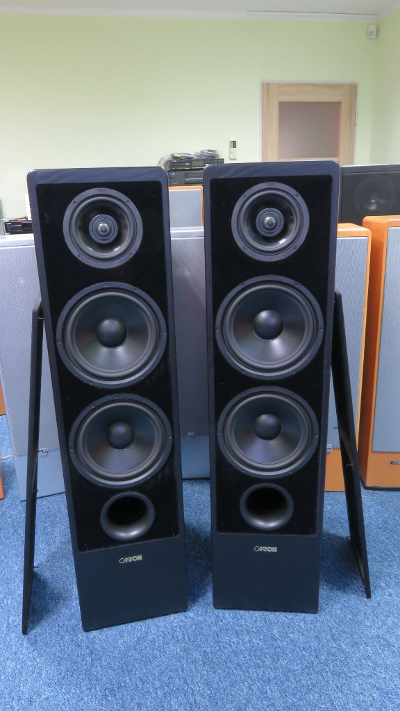 Canton Digital - Niska cena na Allegro.pl