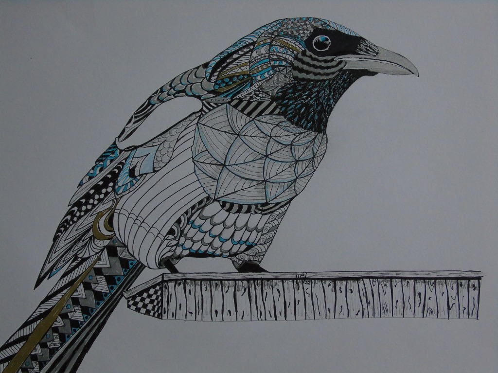 Sroka grafika rysunek | Hornówek | Kup teraz na Allegro Lokalnie