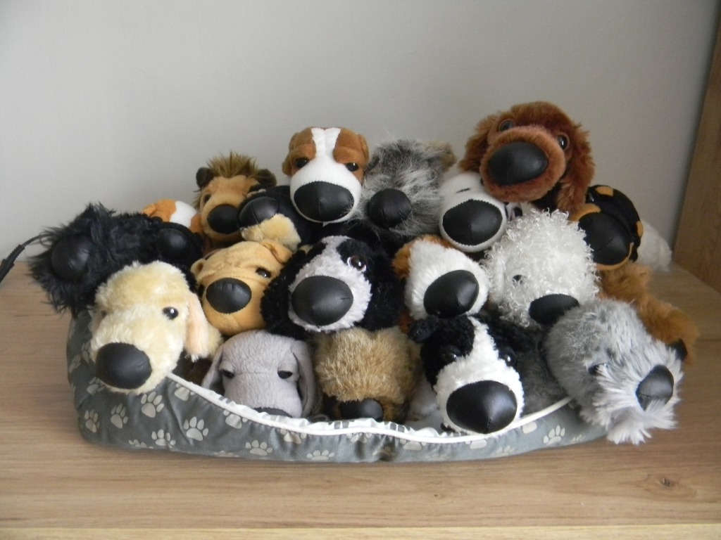 Artist Collection The Dog - Niska cena na Allegro.pl